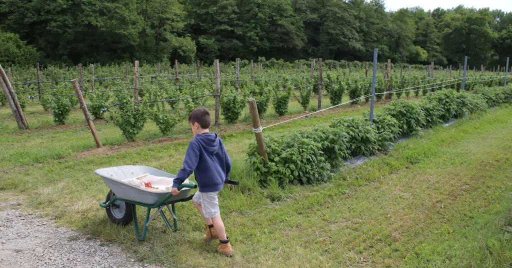 Le Cellier | Ferme cueillette "Vergers du bois Macé" - RDVLudique