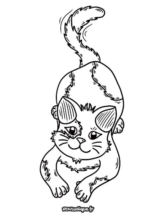 Dessin chat - Coloriage chat a imprimer - 9 - RDVLudique